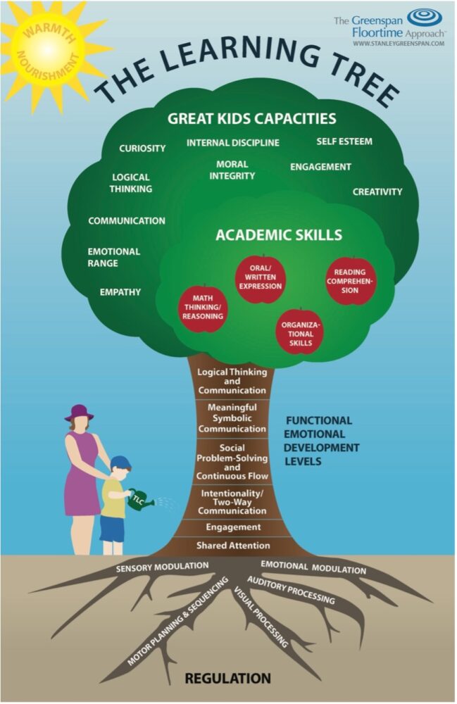 The DIR Model and Floortime Method