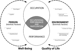 Pediatric OT Models and Frames of Reference