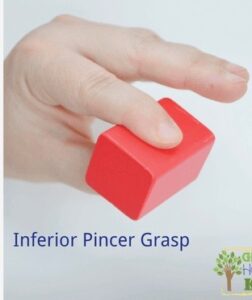 Fine Motor Grasp Development