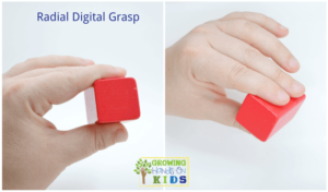 Fine Motor Grasp Development