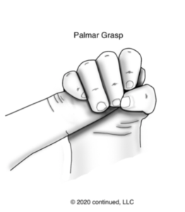 Fine Motor Grasp Development